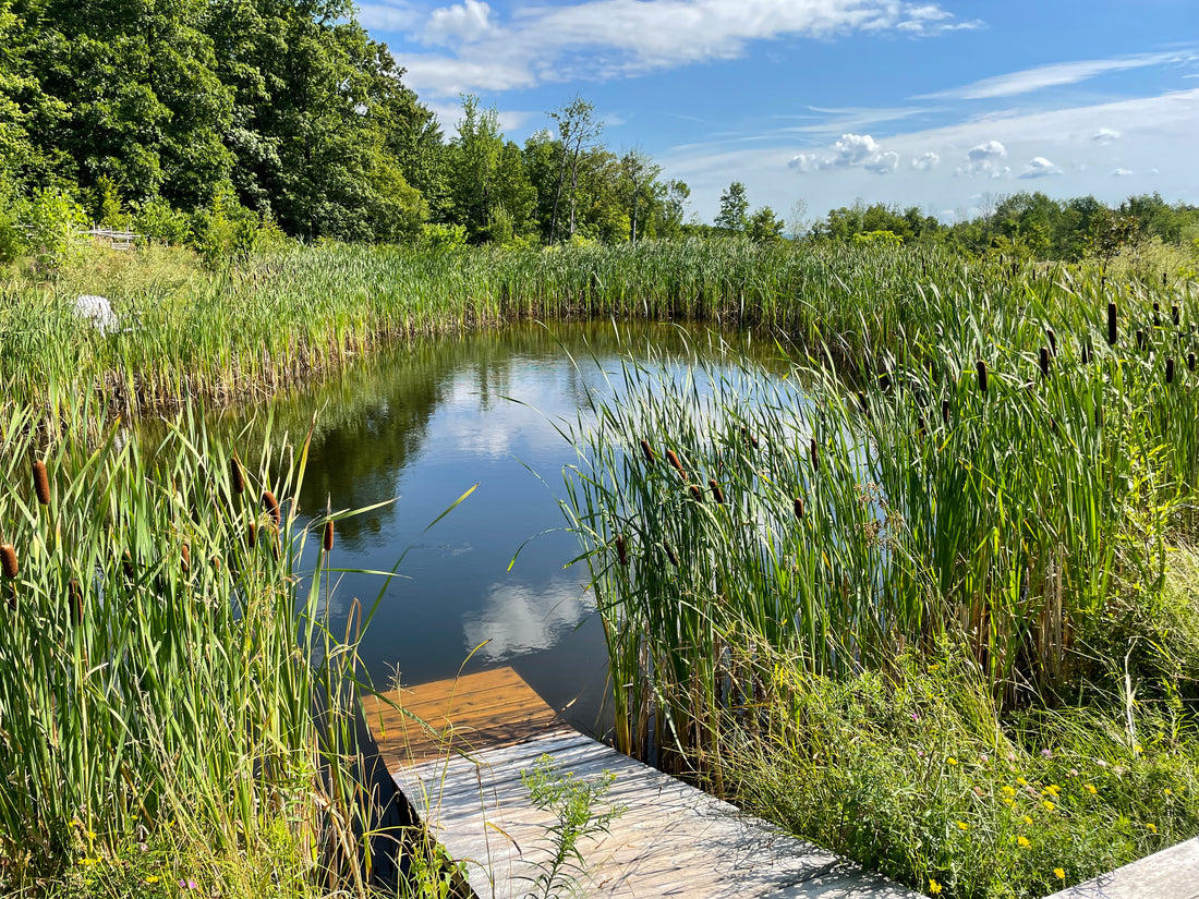 retreat-schedule-2025 – Raven Crest Botanicals