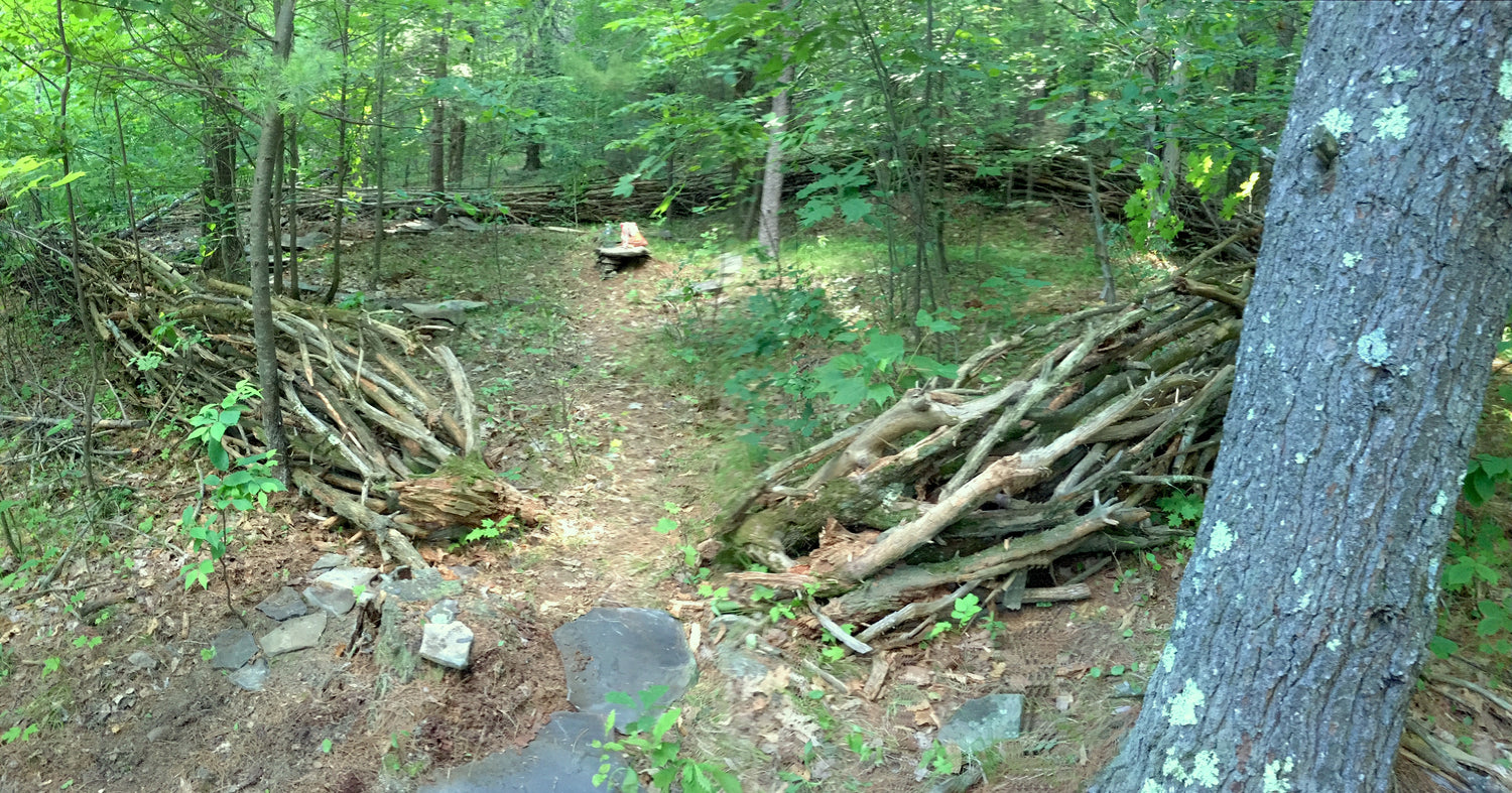 Retreat Center – Raven Crest Botanicals