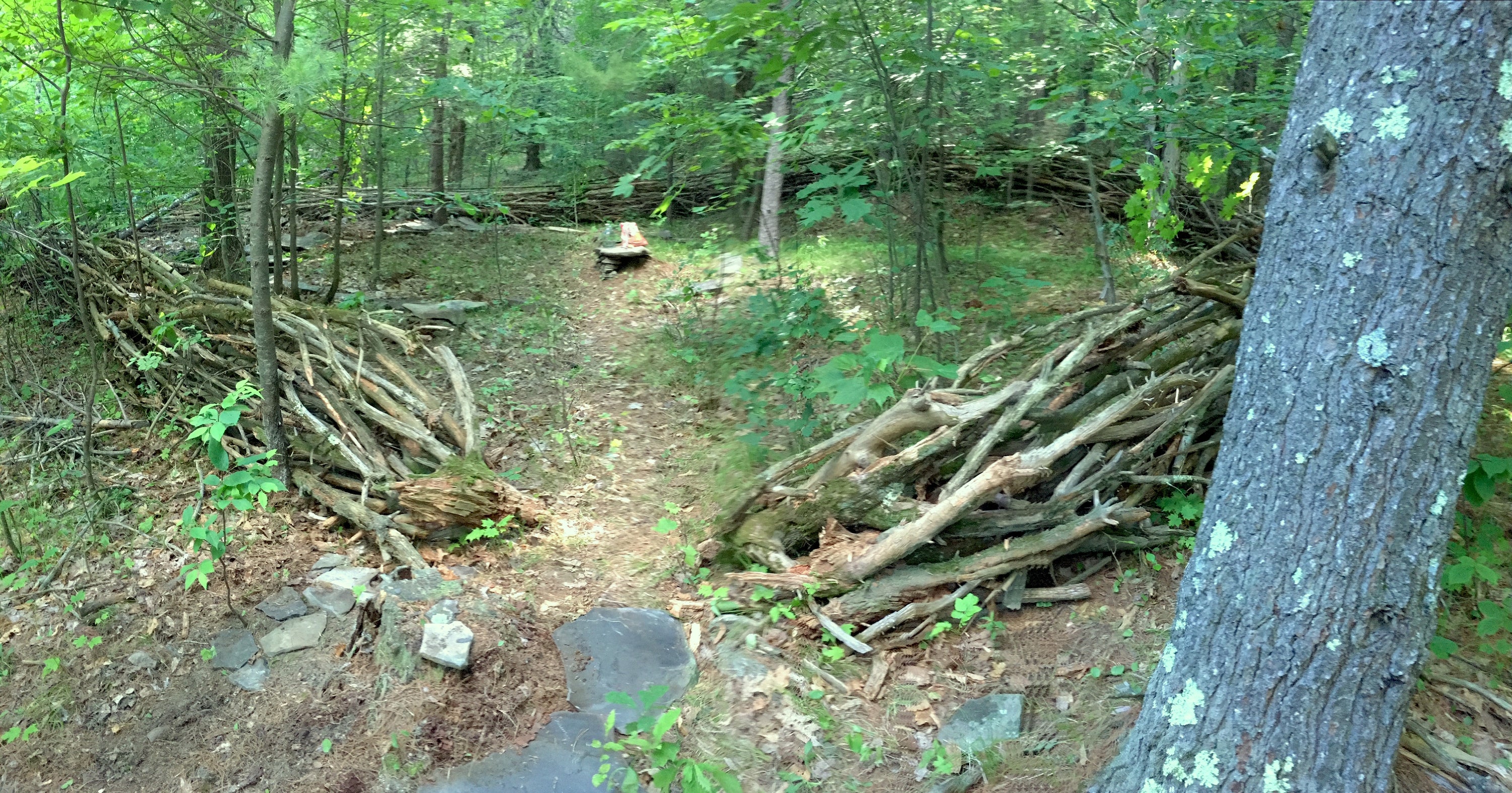 Retreat Center – Raven Crest Botanicals