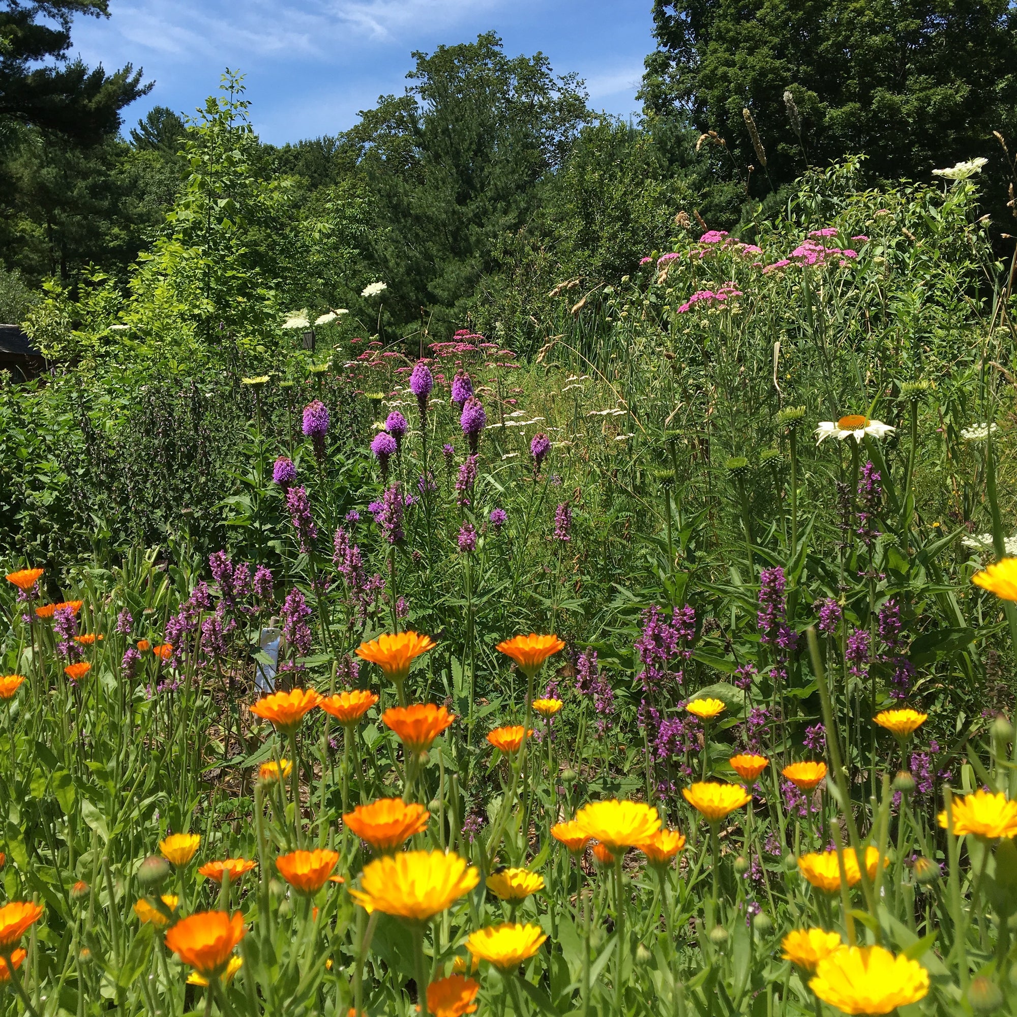 Retreat Center – Raven Crest Botanicals